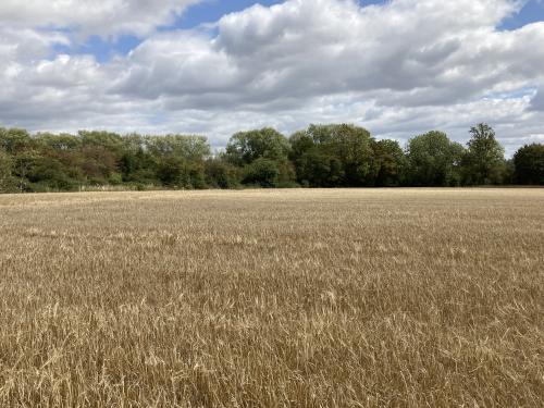 Cassington Road, Eynsham, Witney, OX29 | Rural Property for Sale